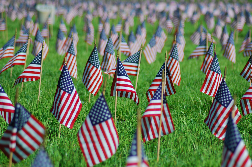 Teaching Students about Veterans Day with Rags: Hero Dog of WWI – The ...