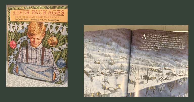 Teach Upper Elementary Reading Skills with Silver Packages – The ...